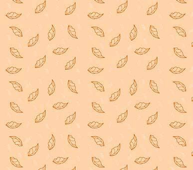 Danada Square East ::: Wheaton ::: IL