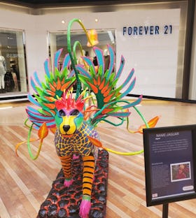 Fox Valley ::: Events