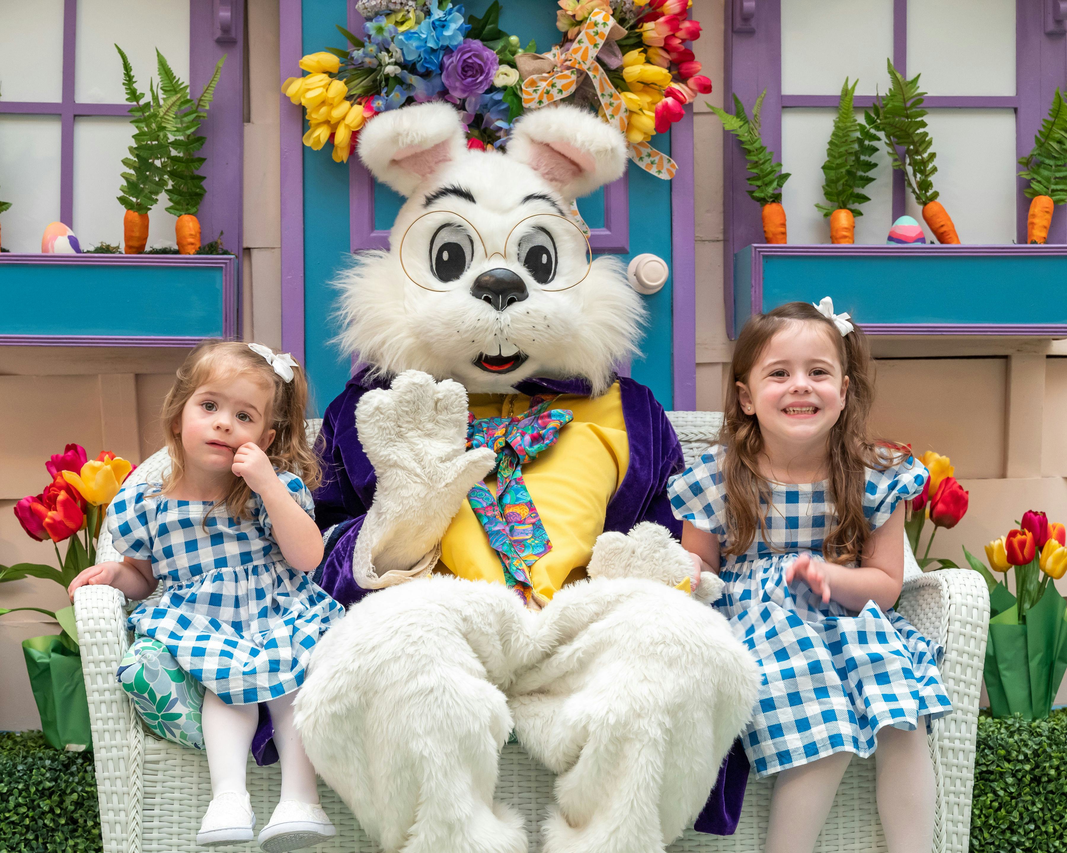 Fox Valley ::: Events